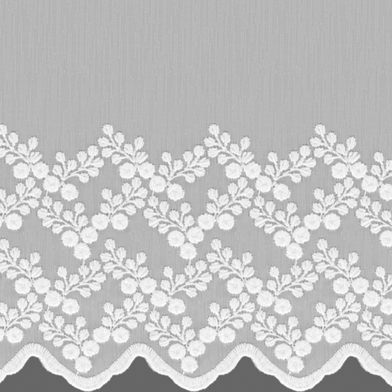 シンコール | EF583 | 2025 abita